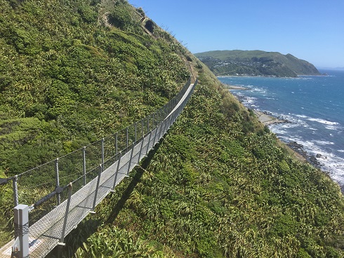 31 AWESOME Things to do in Wellington with Kids - Kiwi Families